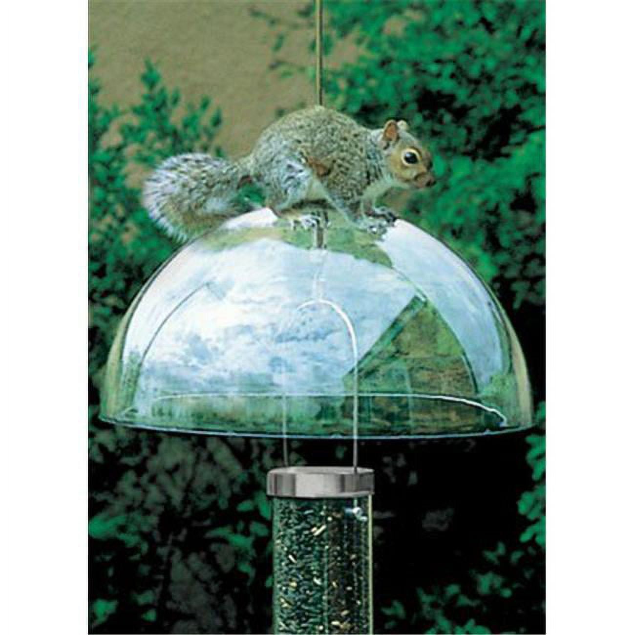 Droll Yankees Inc Squirrel Baffle Squirrel Guard - Green - Walmart.com
