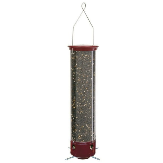 Droll Yankees Small Outdoor Yankee Dipper Squirrel-Proof Tube Bird ...