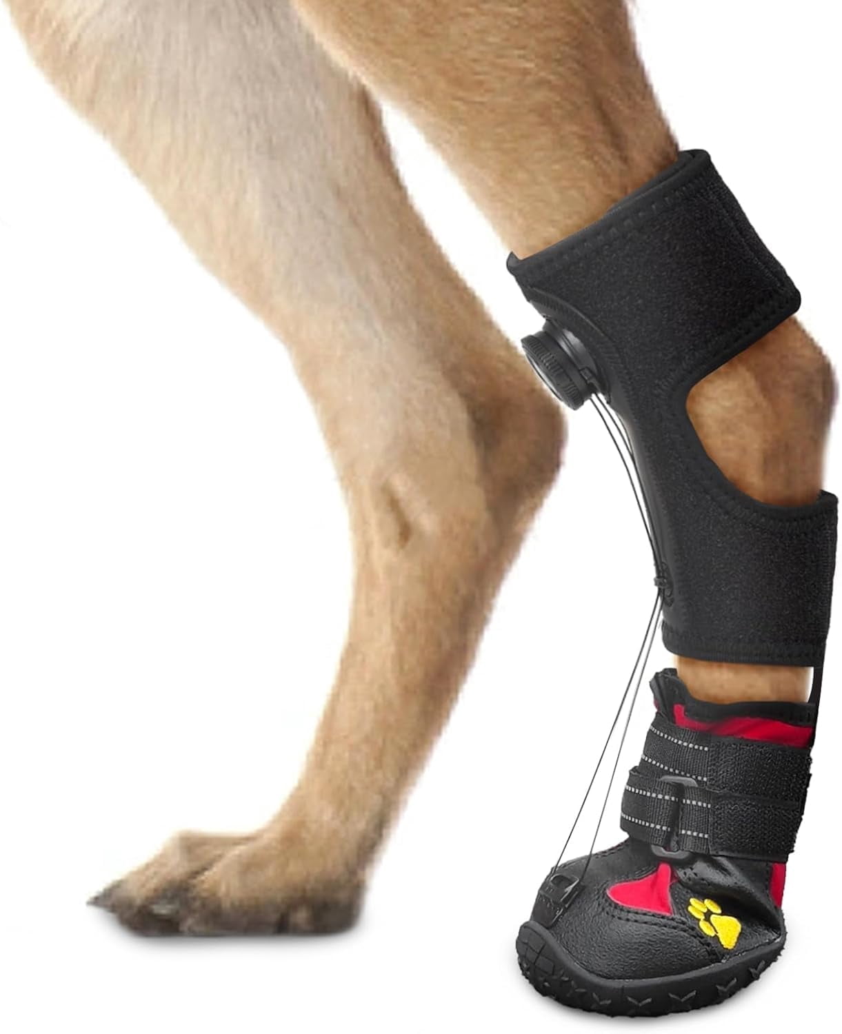Drop Foot Brace with Reel(No Knuckling Boot Brace) for Dog - Corrective ...