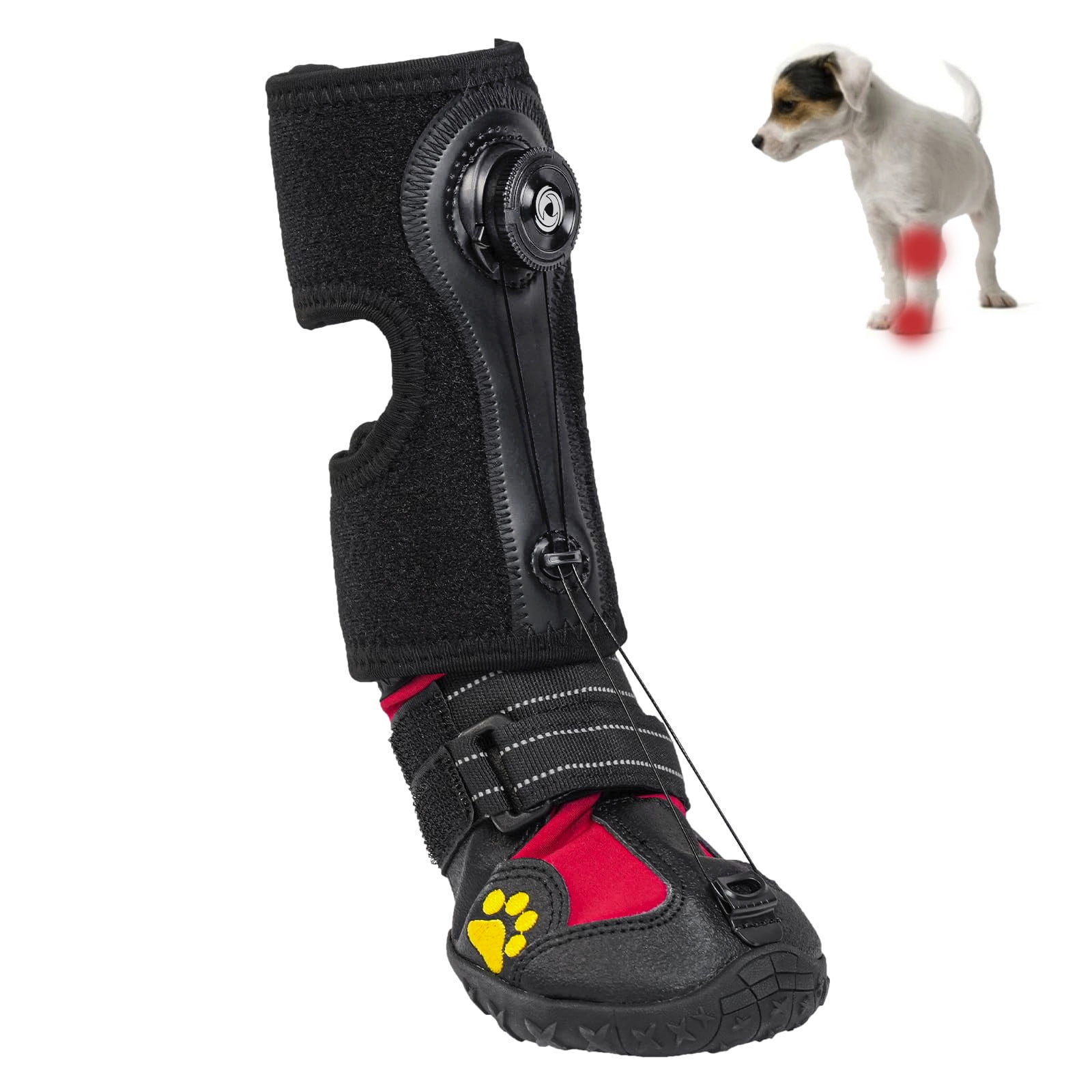 Drop Foot Brace With Reel(No Knuckling Boot Brace) For Dog Corrective ...