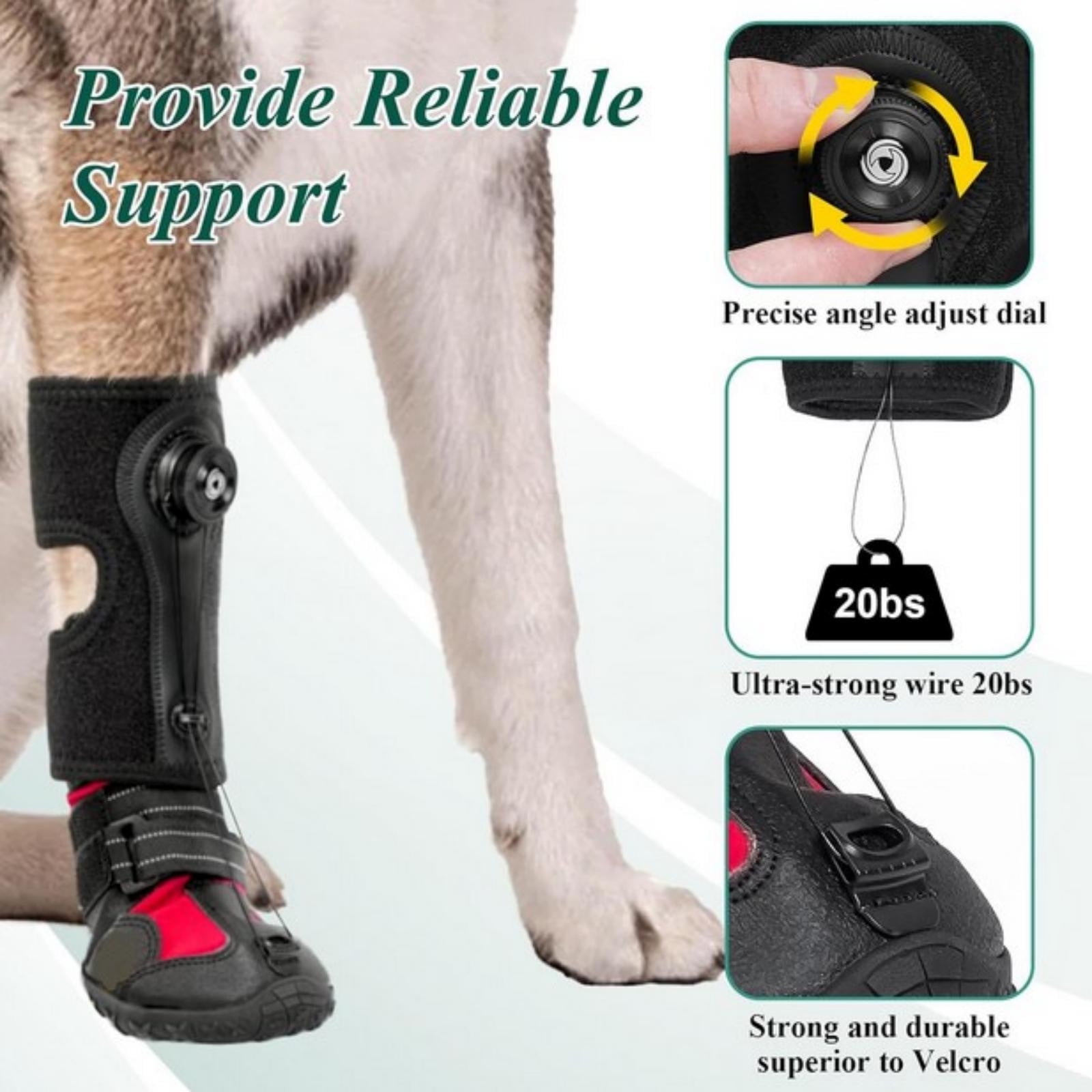 Drop Foot Brace with Reel(No Knuckling Boot Brace) for Dog Corrective ...