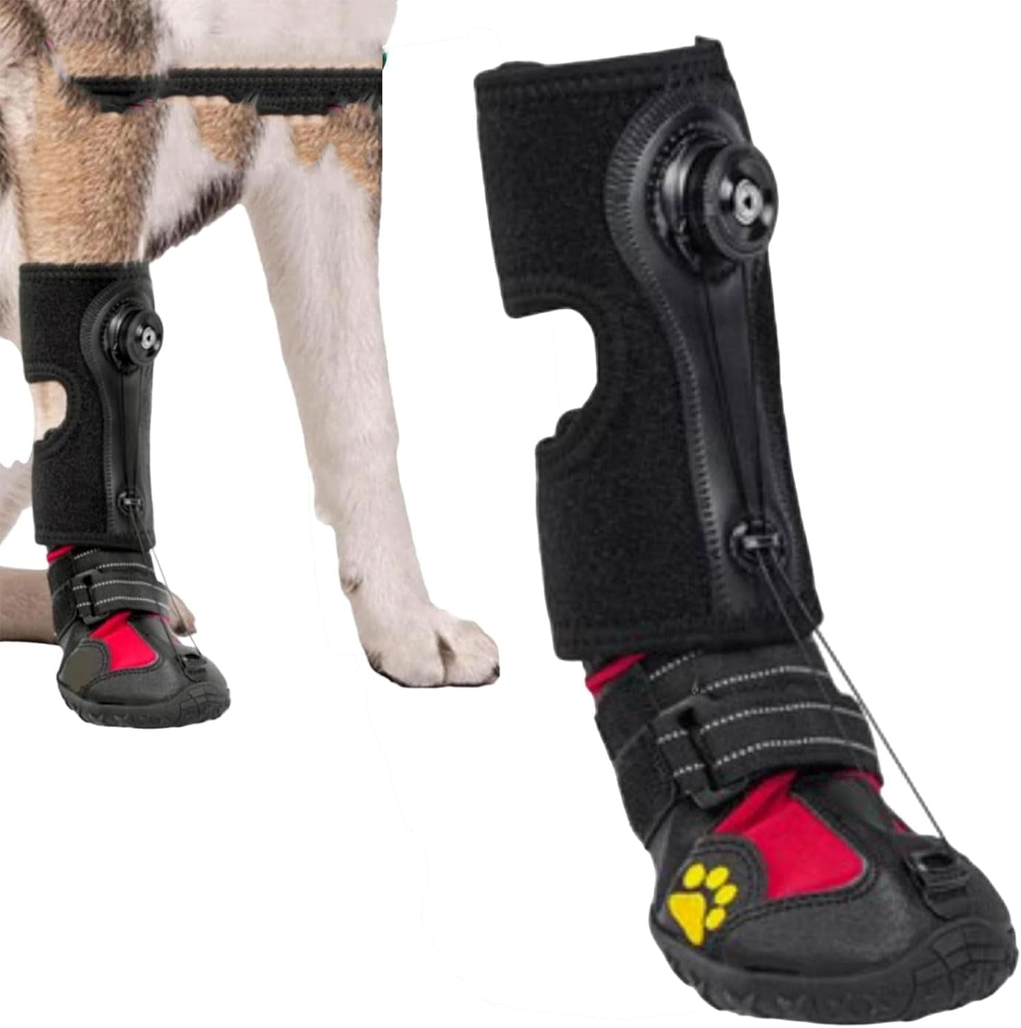 Drop Foot Brace with Reel(No Knuckling Boot Brace) for Dog - Corrective ...