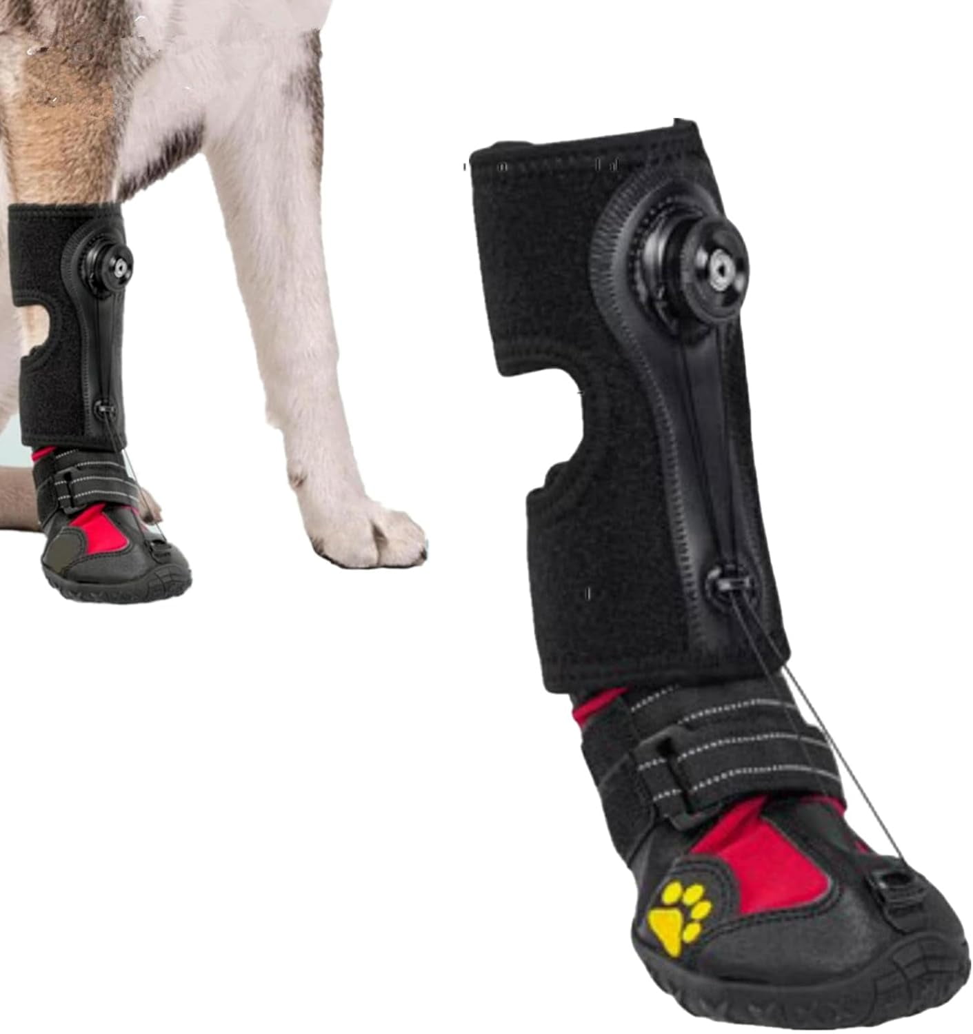 Drop Foot Brace with Reel(No Knuckling Boot Brace) for Dog - Corrective ...