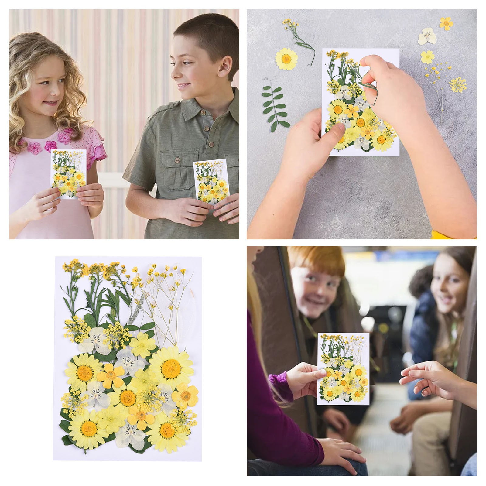Drop Glue Dried Flower Mobile Phone Students Hand DIY Dried Flower ...