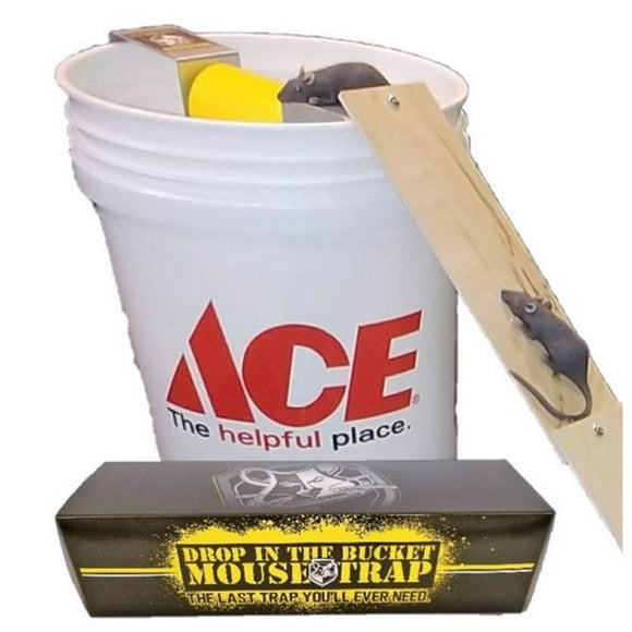 5 Gallon Bucket Mouse Trap