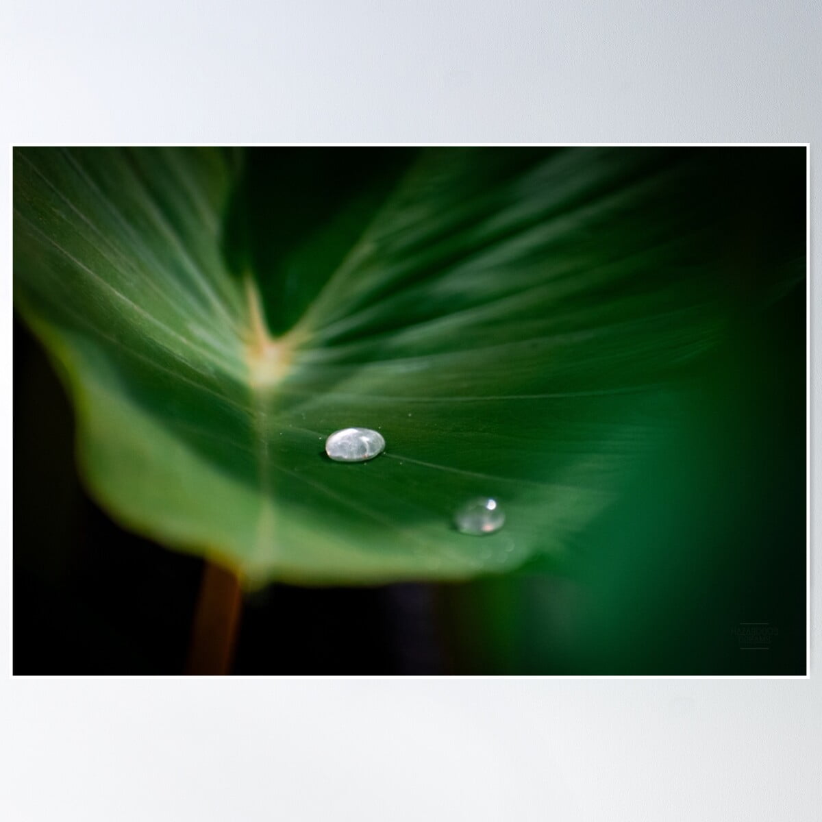 Droplet Poster Wall Art, Modern Wall Decor For Living Room Bedroom ...