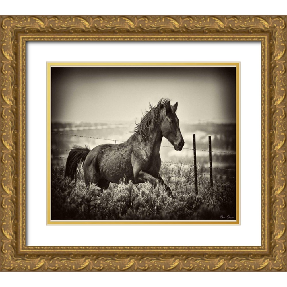 Drost, David 17x15 Gold Ornate Wood Framed with Double Matting Museum ...