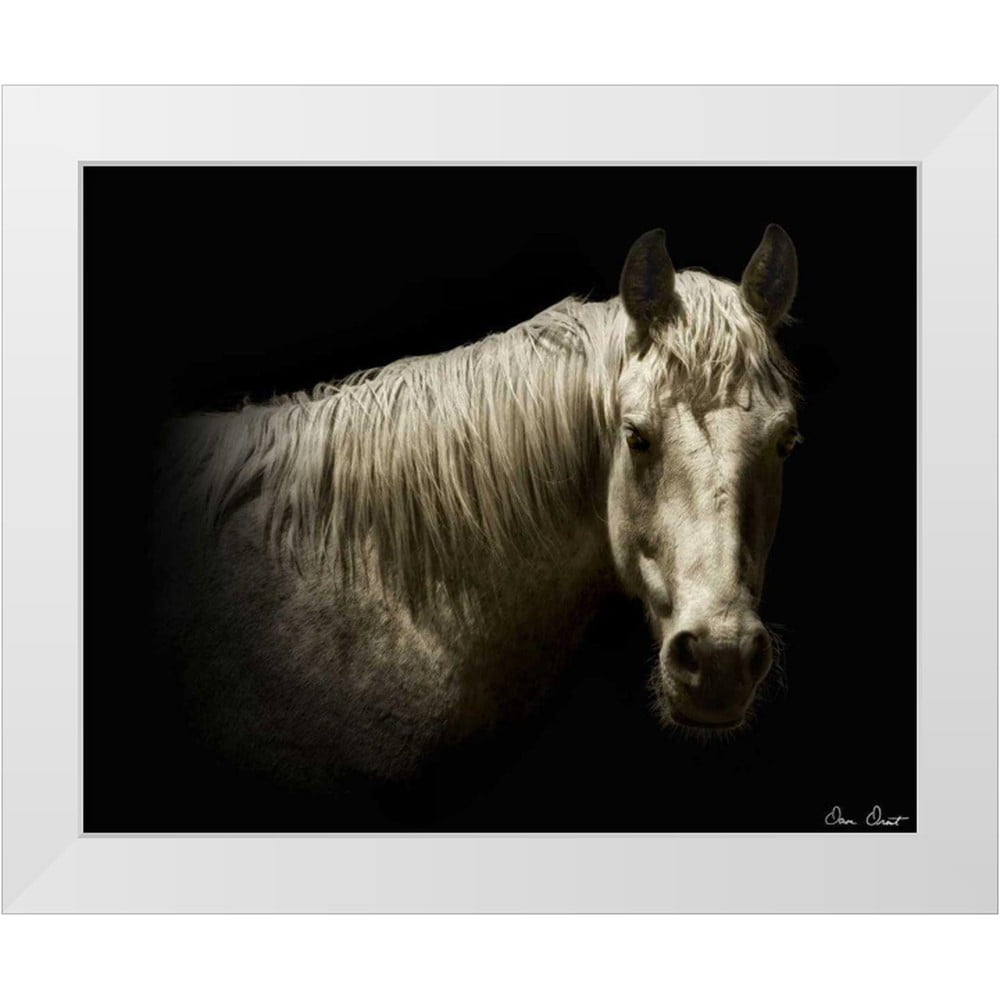 Drost, David 24x20 White Modern Wood Framed Museum Art Print Titled ...