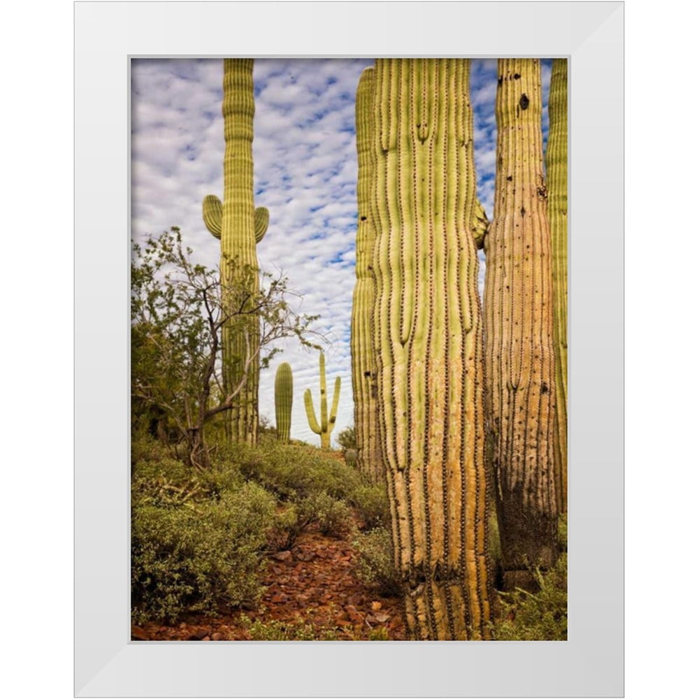 Drost, David 25x32 White Modern Wood Framed Museum Art Print Titled ...