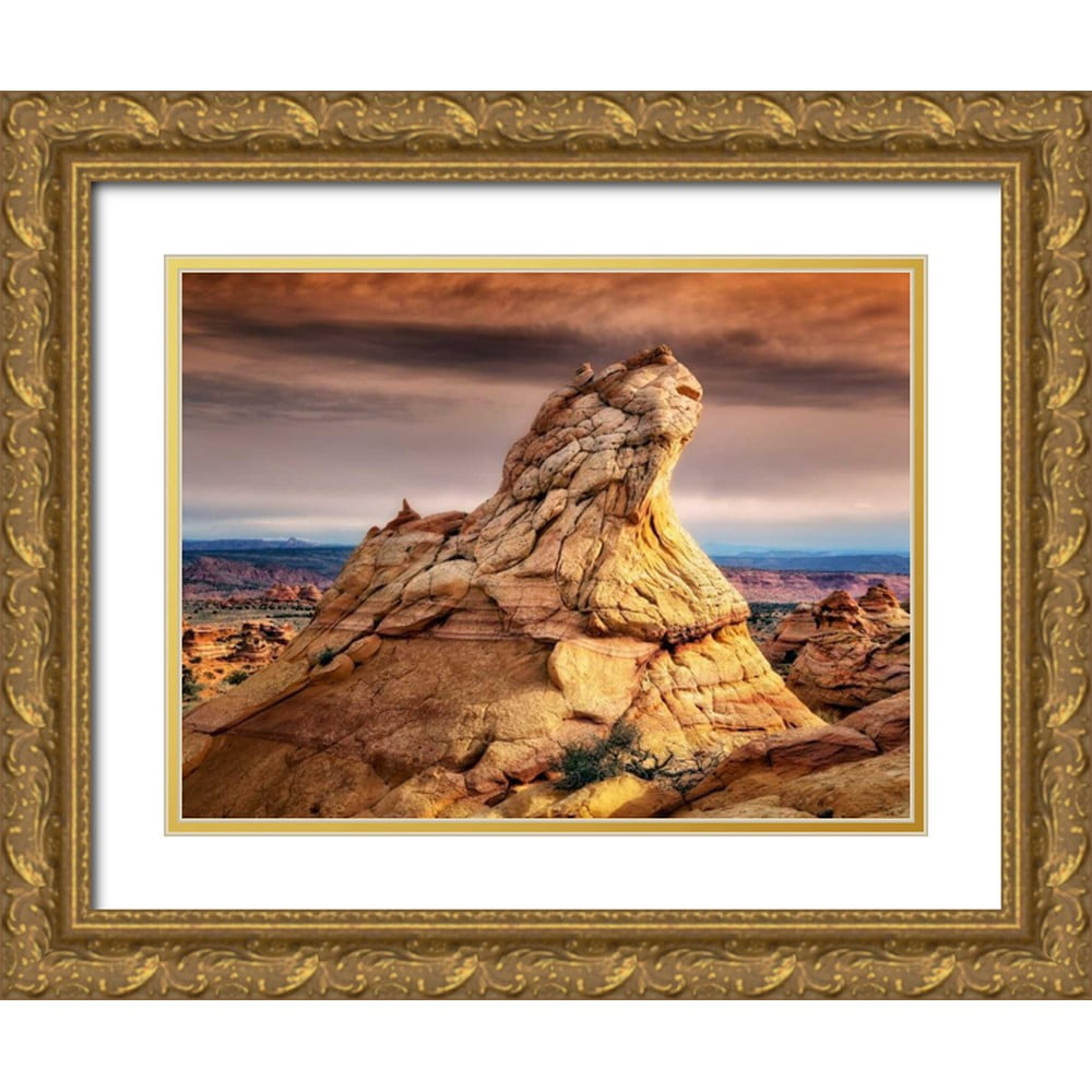 Drost, David 32x25 Gold Ornate Wood Framed with Double Matting Museum ...