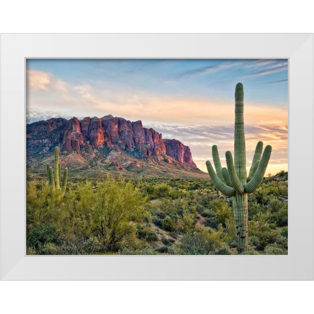 Drost, David 32x25 White Modern Wood Framed Museum Art Print Titled ...