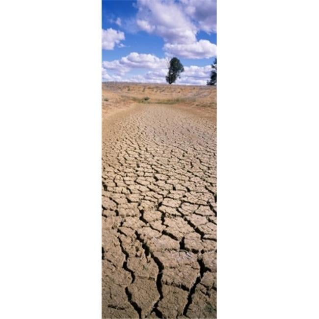 Drought Australia Poster Print (36 x 13) - Walmart.com