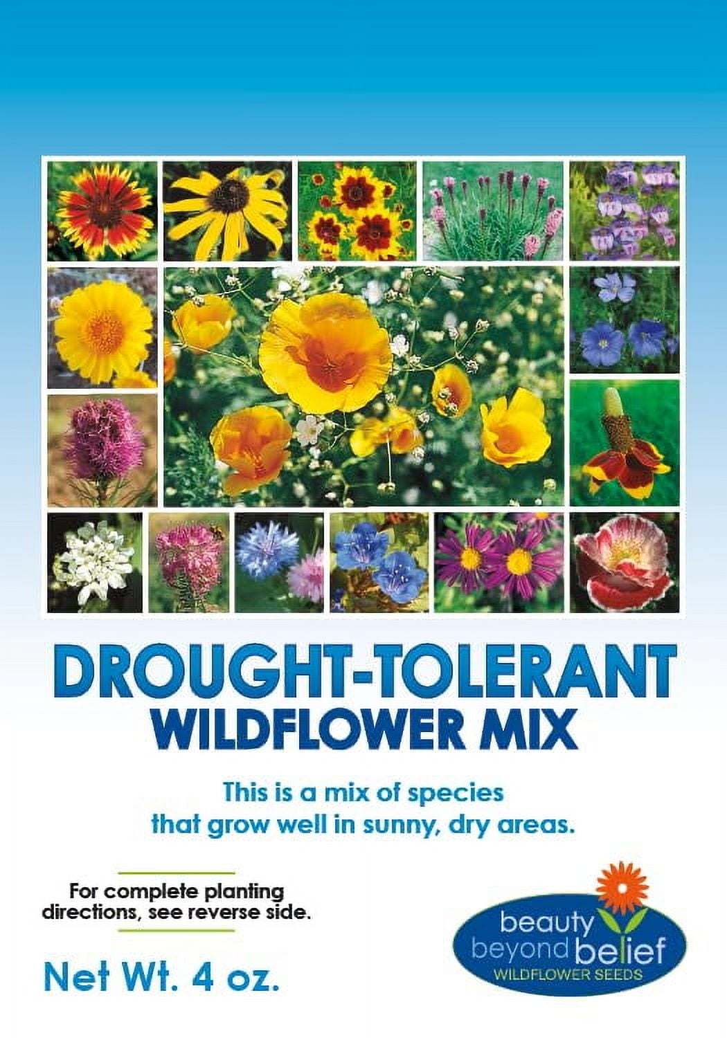 Drought Tolerant Wildflower Seeds - 4oz, BSL1 Open-Pollinated Bulk ...