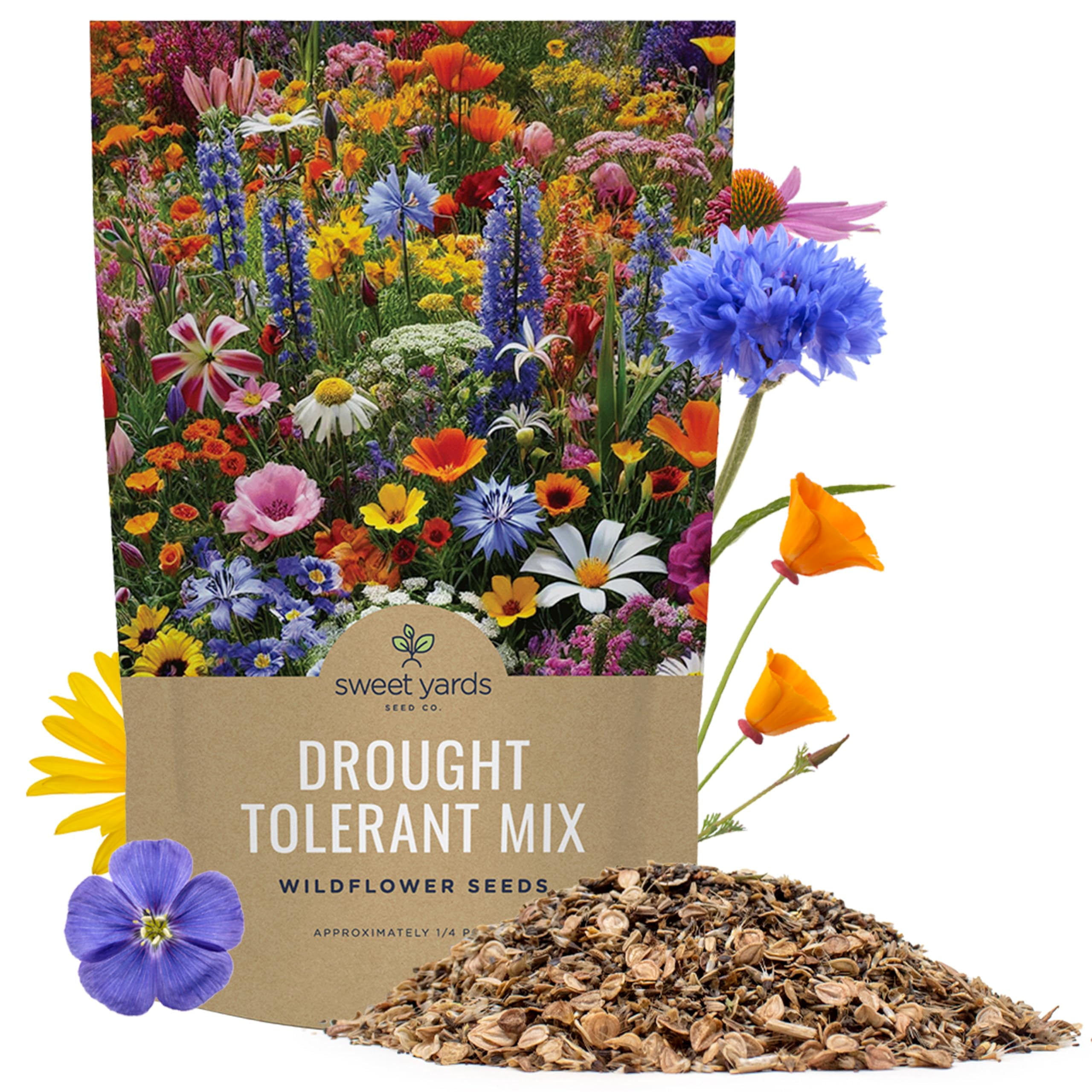 Drought Tolerant WildflowersEGSC Mix - Bulk Quarter Pound Bag - Over 30,000 Open Pollinated Non ...