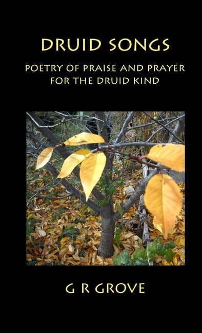 Druid Songs (Paperback) - Walmart Business Supplies