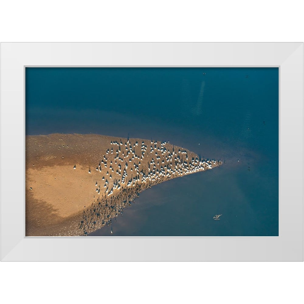 Drury, Trish 18x13 White Modern Wood Framed Museum Art Print Titled ...