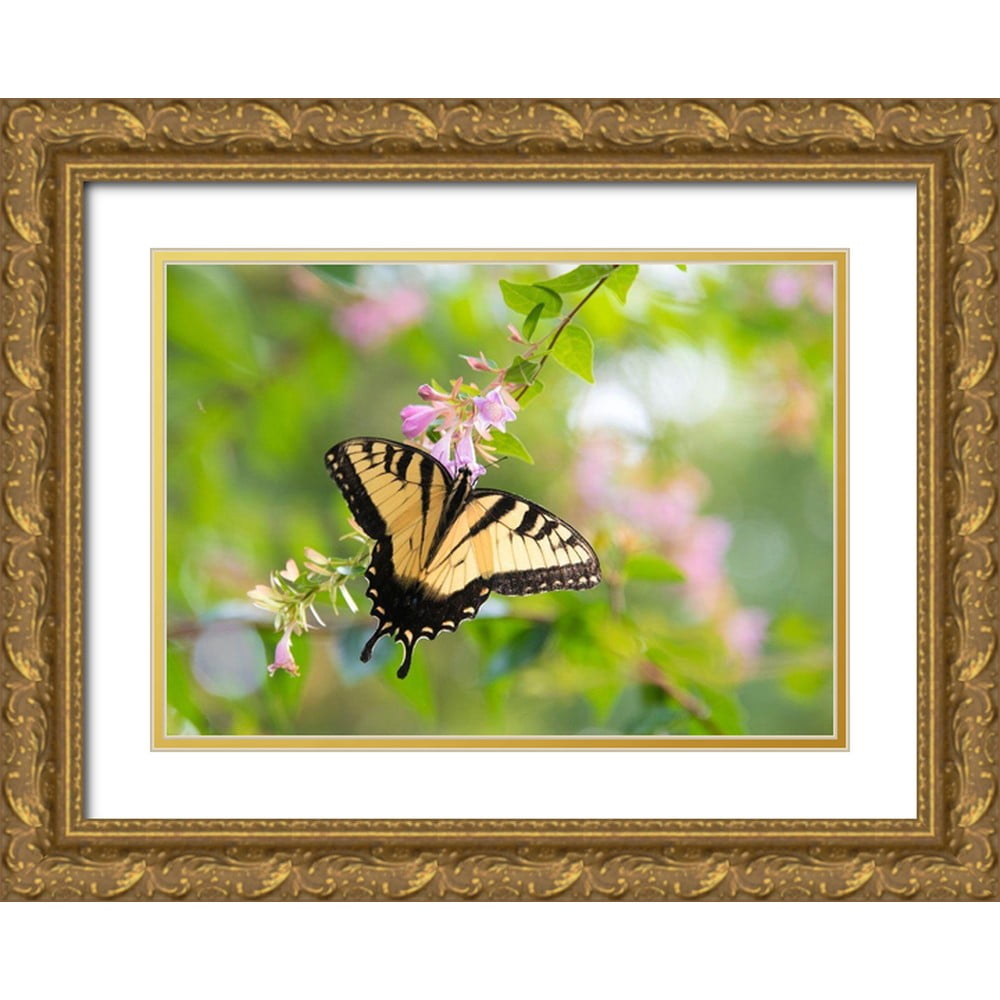 Drury, Trish 32x24 Gold Ornate Wood Framed with Double Matting Museum ...