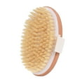 Dry Brushing Body Brush Natural Bristle Dry Brush For Removing Dead ...