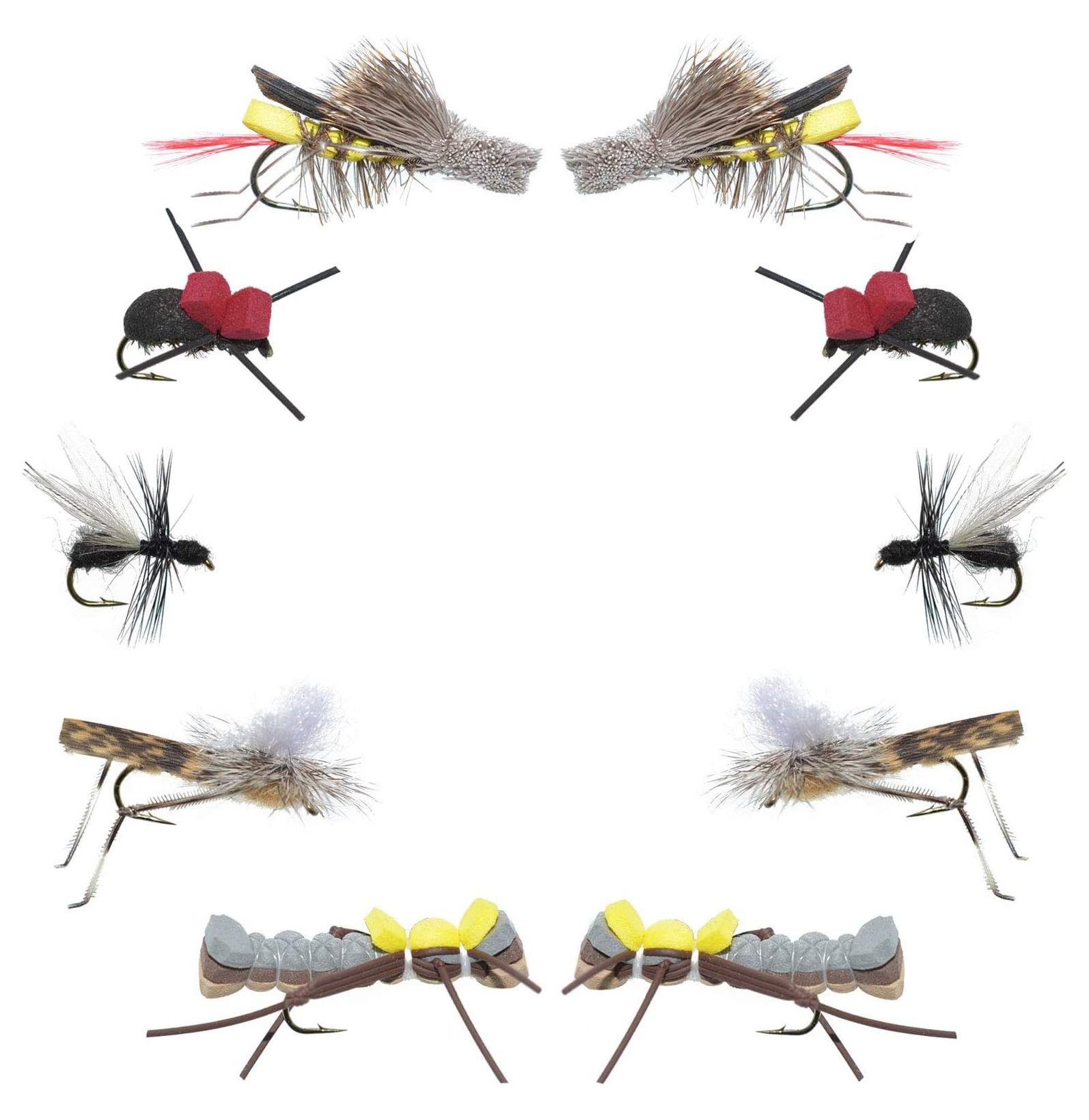 Dry Fly Fishing Assortment - 10 Terrestrial Flies - Trout, Bass ...