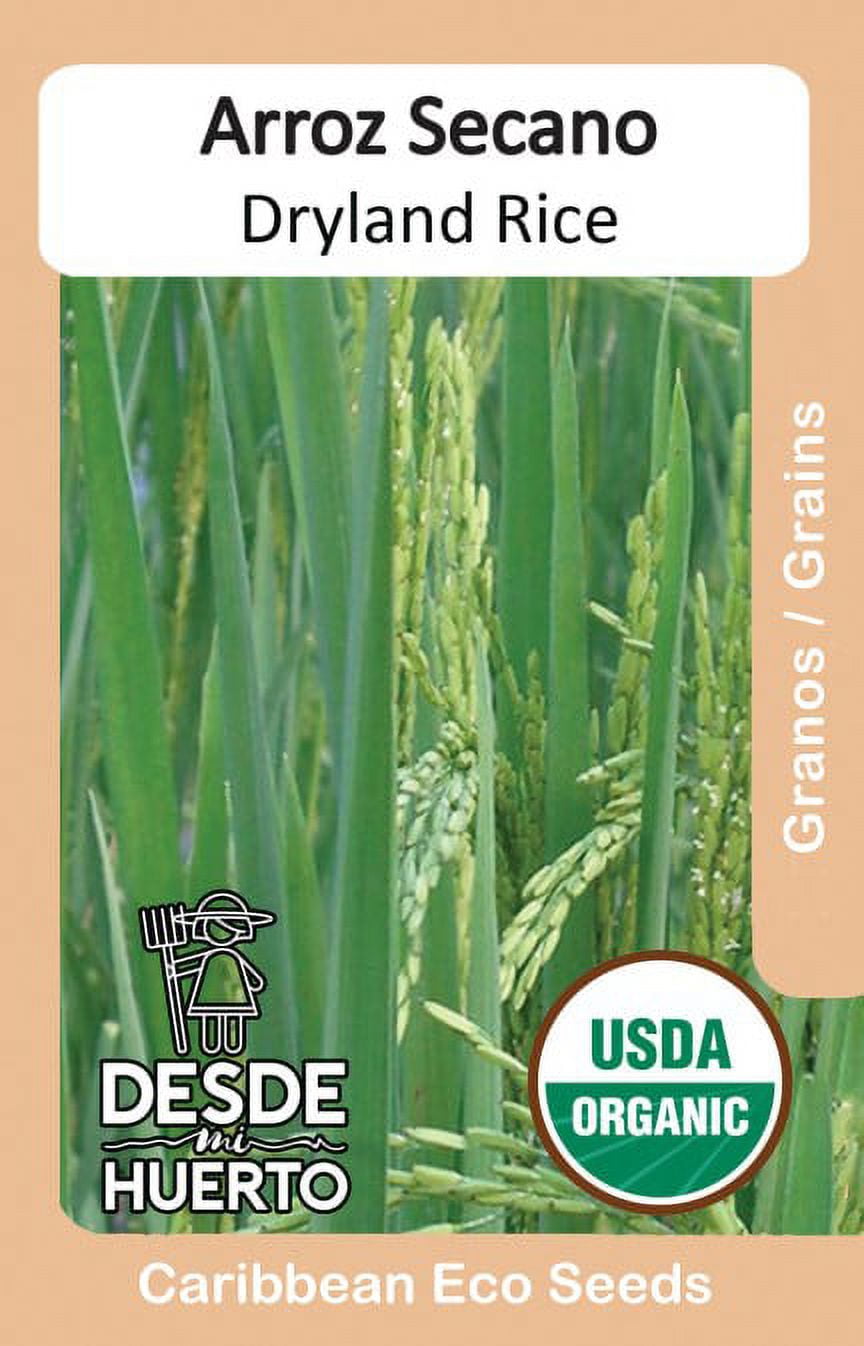 Dry Land Rice Organic Seeds - Walmart.com