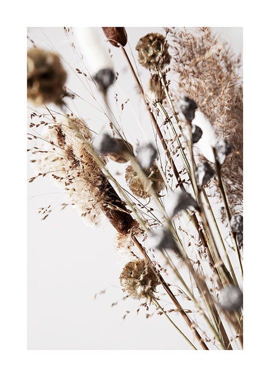 Dry Reeds No2 Print Wall Art, Modern Wall Decor For Living Room Bedroom ...