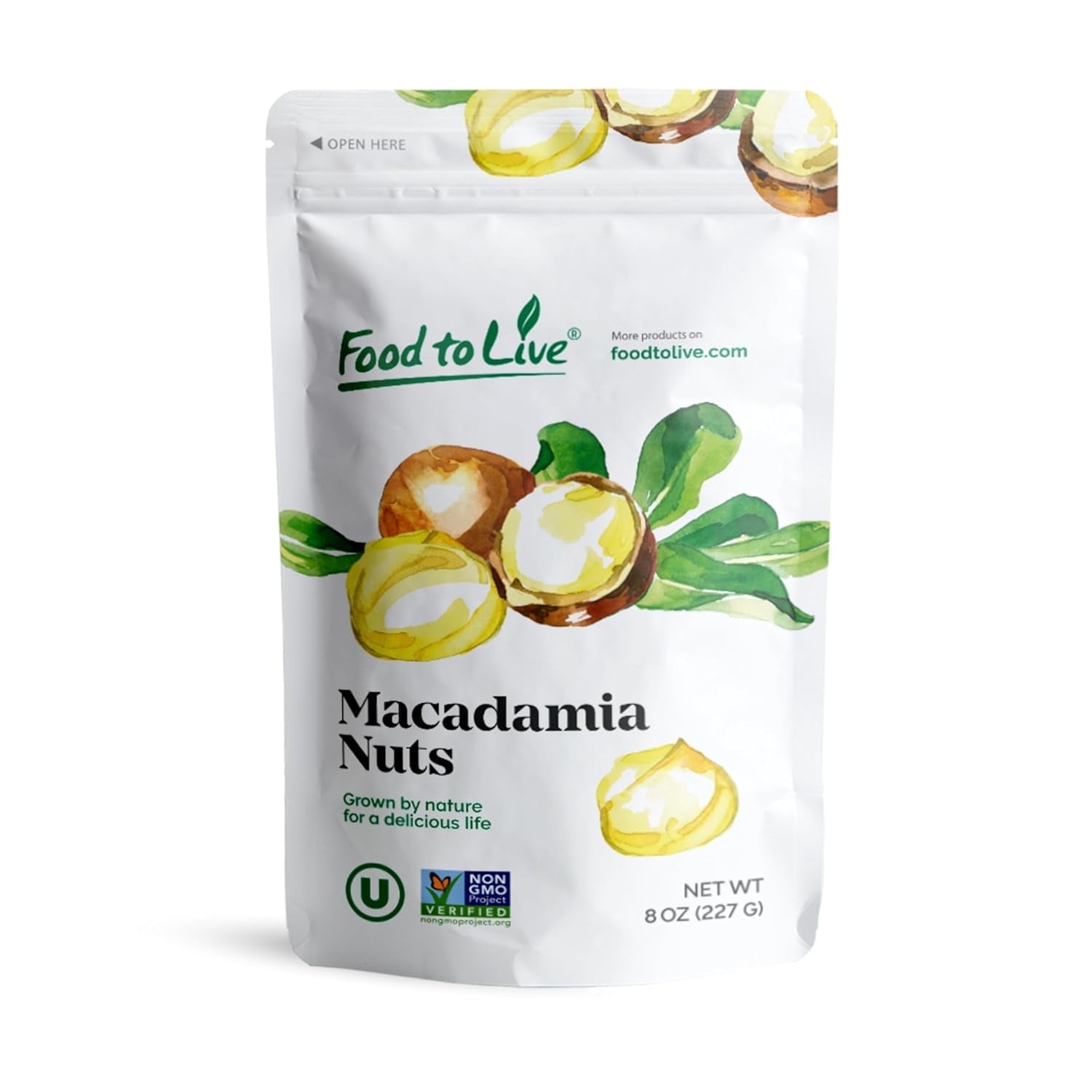 Dry Roasted Macadamia Nuts Halves and Pieces, 8 Ounces – Vegan, Kosher ...