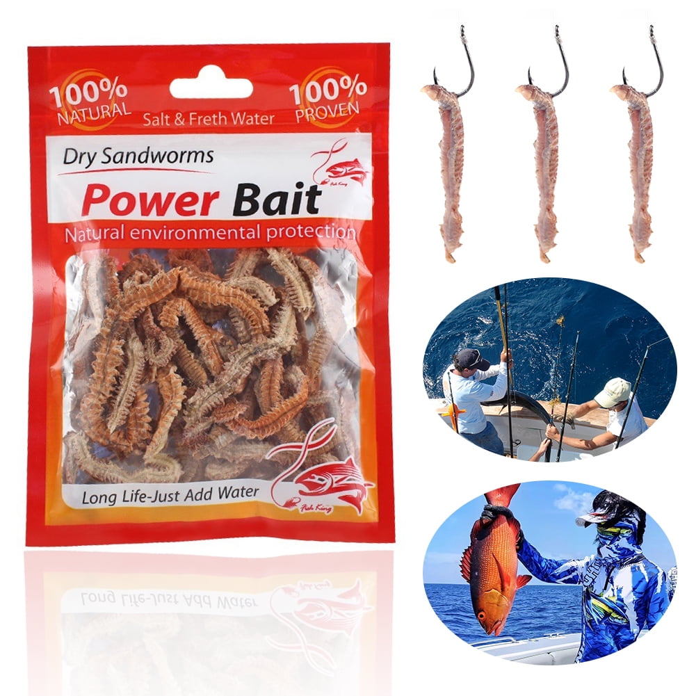 Dry Sandworms Fishing Lures Lifelike Dry Lugworm Sandworms Artificial ...