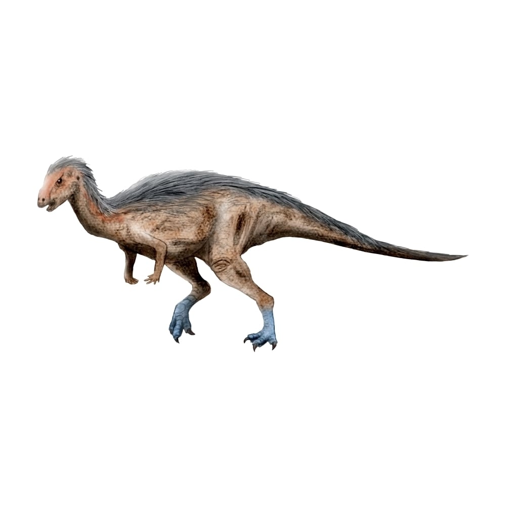 Dryosaurus dinosaur Poster Print - Walmart.com