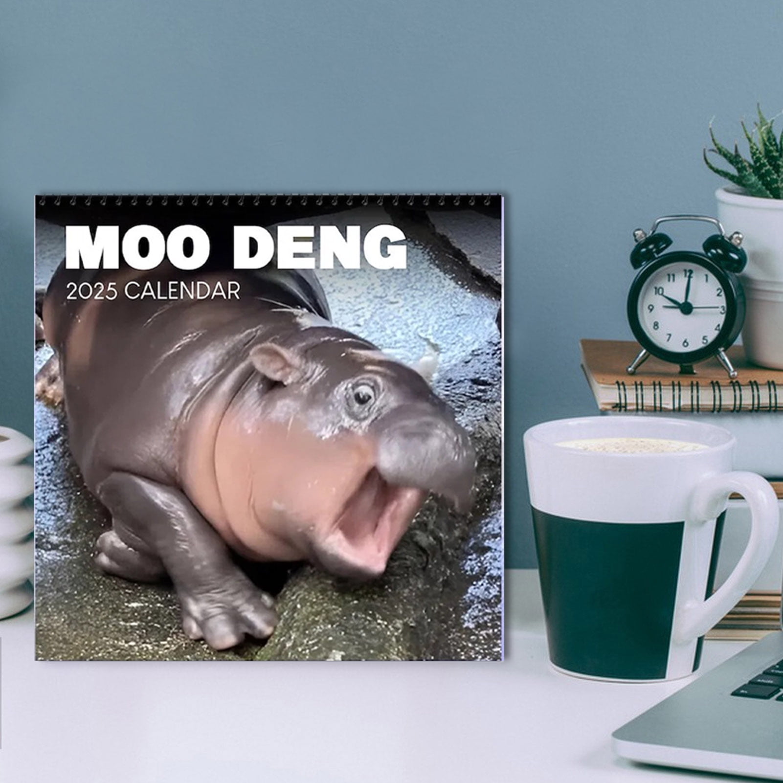 Dserhfy 2025 Hippo Wall Calendar Monthly Pygmy Hippo Images Calendar ...
