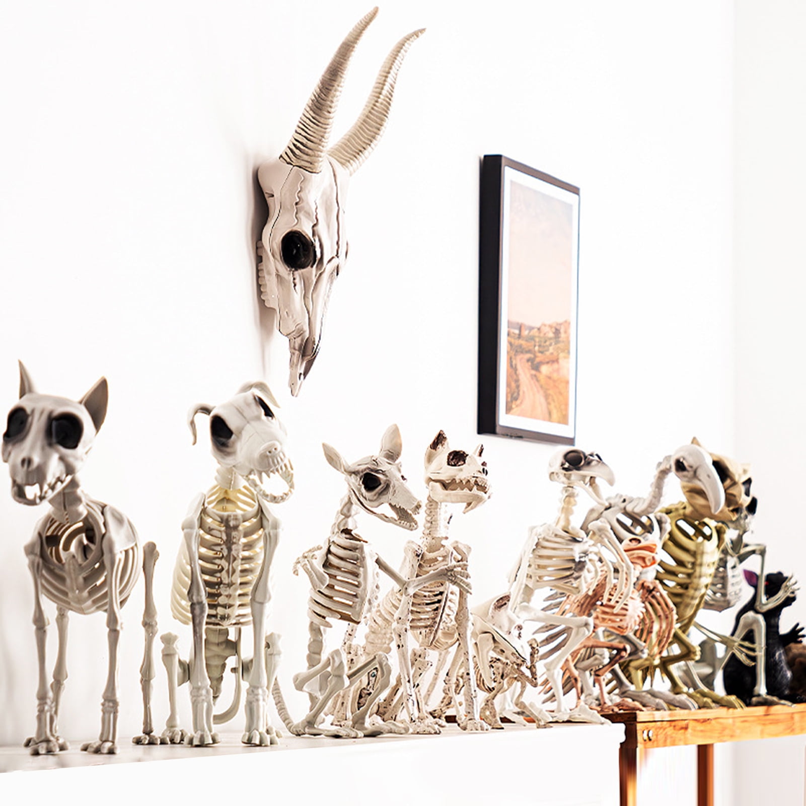 Dserhfy Halloween Skeleton Animal Decoration Creepy Cat/Dog/Bird/Rat ...