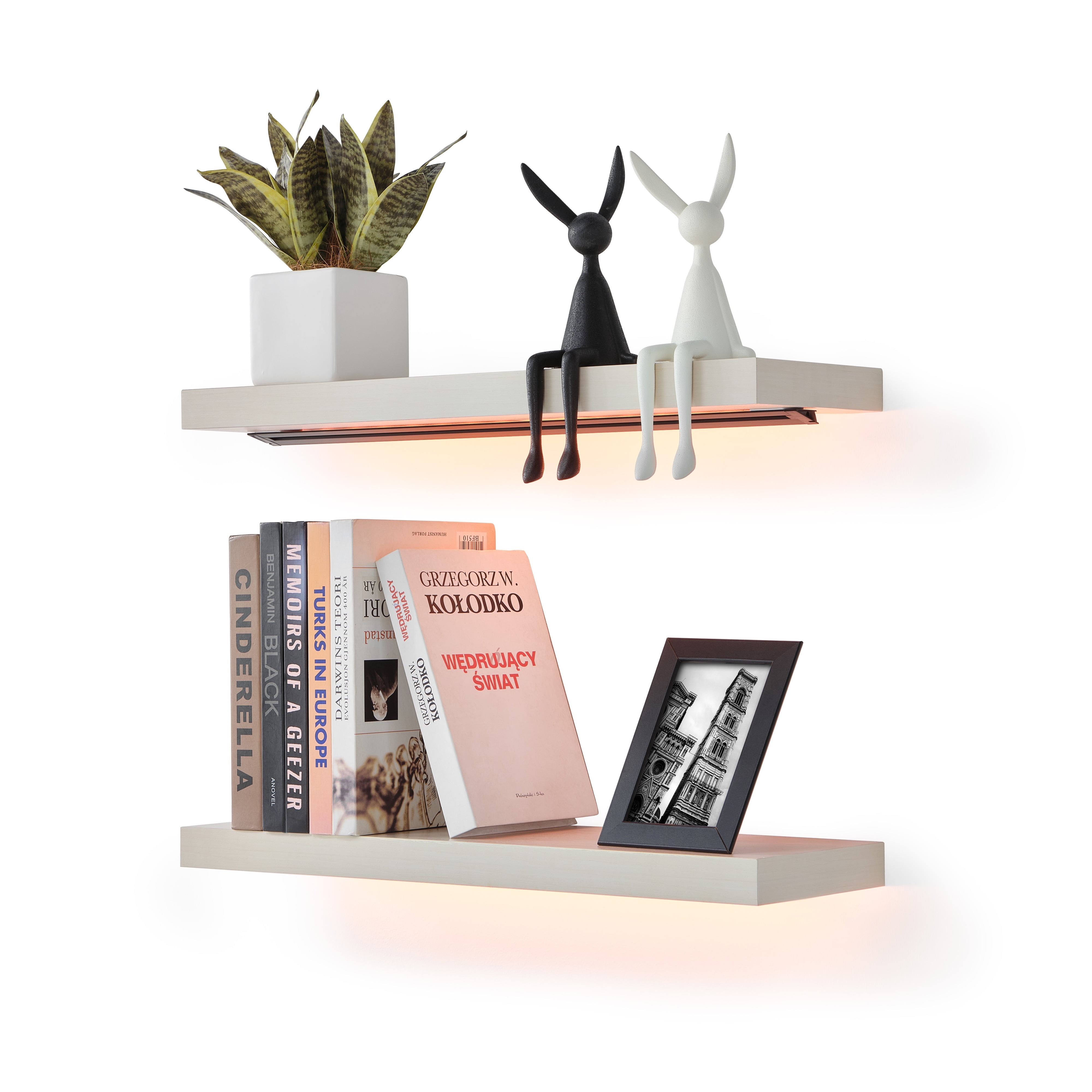 DsignaFloating Shelves with LED Lights, APP Control Light Dimmable Wall ...