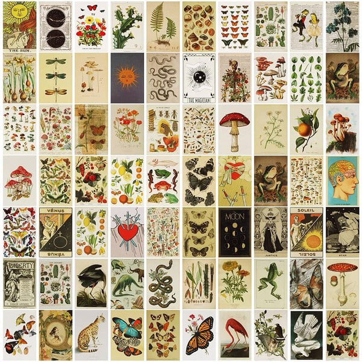 Dsseng 70Pcs Vintage Photo Wall Collage Kit Aesthetic Posters, Double ...