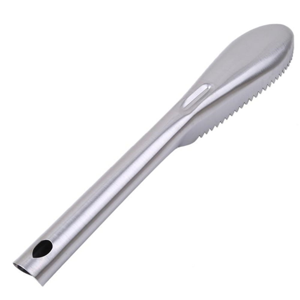 Dsseng Fish Scaler Brush Fish Scaler Remover with Stainless Steel ...