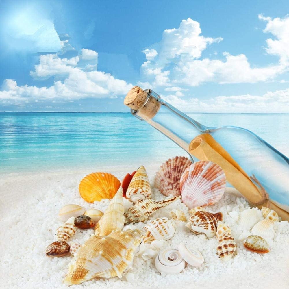 Dsseng Natural Beach Shell & Conch Seashells Aquarium Fish Tank ...