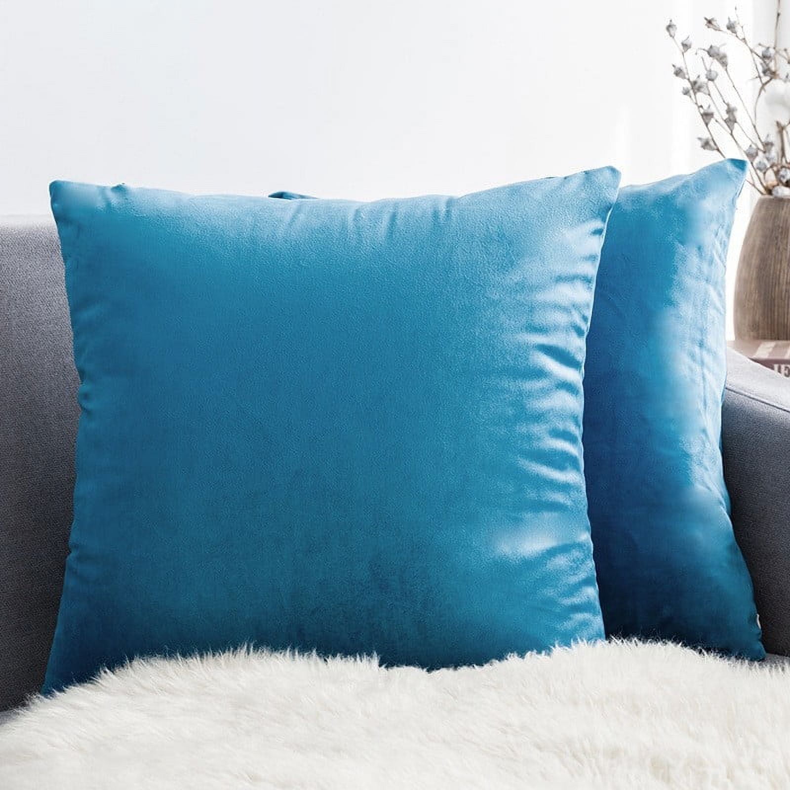 Dtwnek 2 Pack Throw Pillow Covers Soft Velvet Solid Square Pillow Cases ...