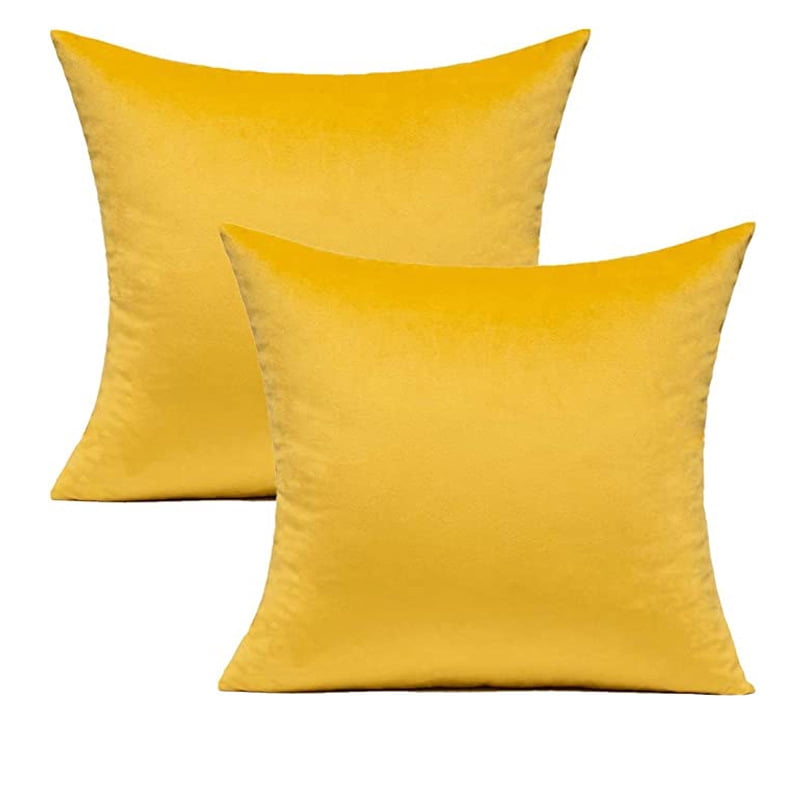 Dtwnek Pack of 2 Decorative Pillow Cases Soft Velvet Square Throw ...