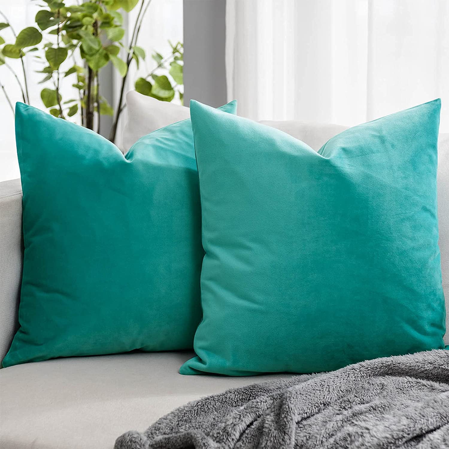 Dtwnek Pack of 2 Decorative Pillow Covers Soft Velvet Throw Cushion ...