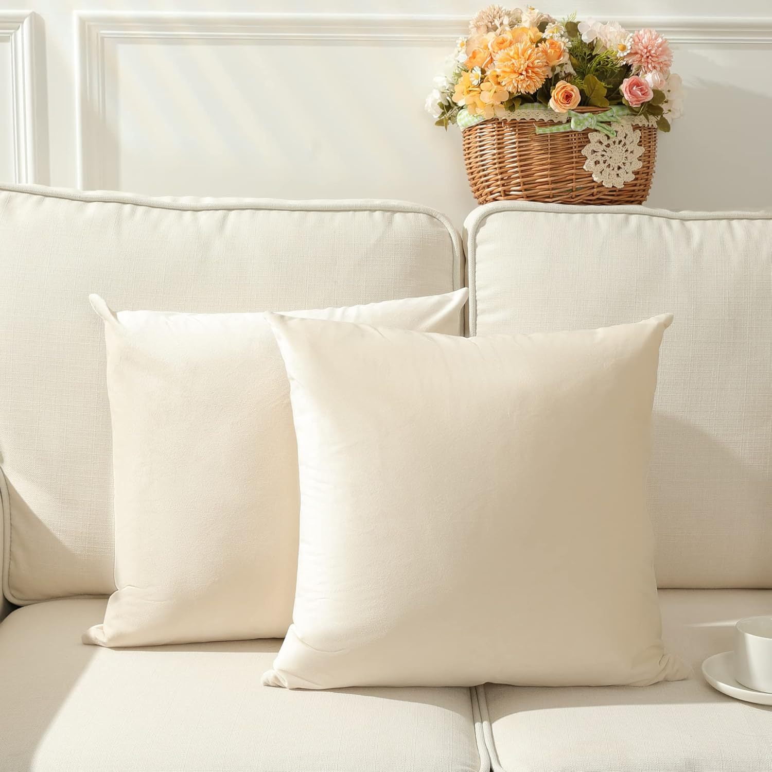 Dtwnek Pack of 2 Decorative Velvet Throw Pillow Cover Soft Pillow Case ...