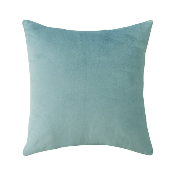 Dtwnek Set of 1 Decorative Throw Pillow Covers Soft Velvet Pillowcases ...