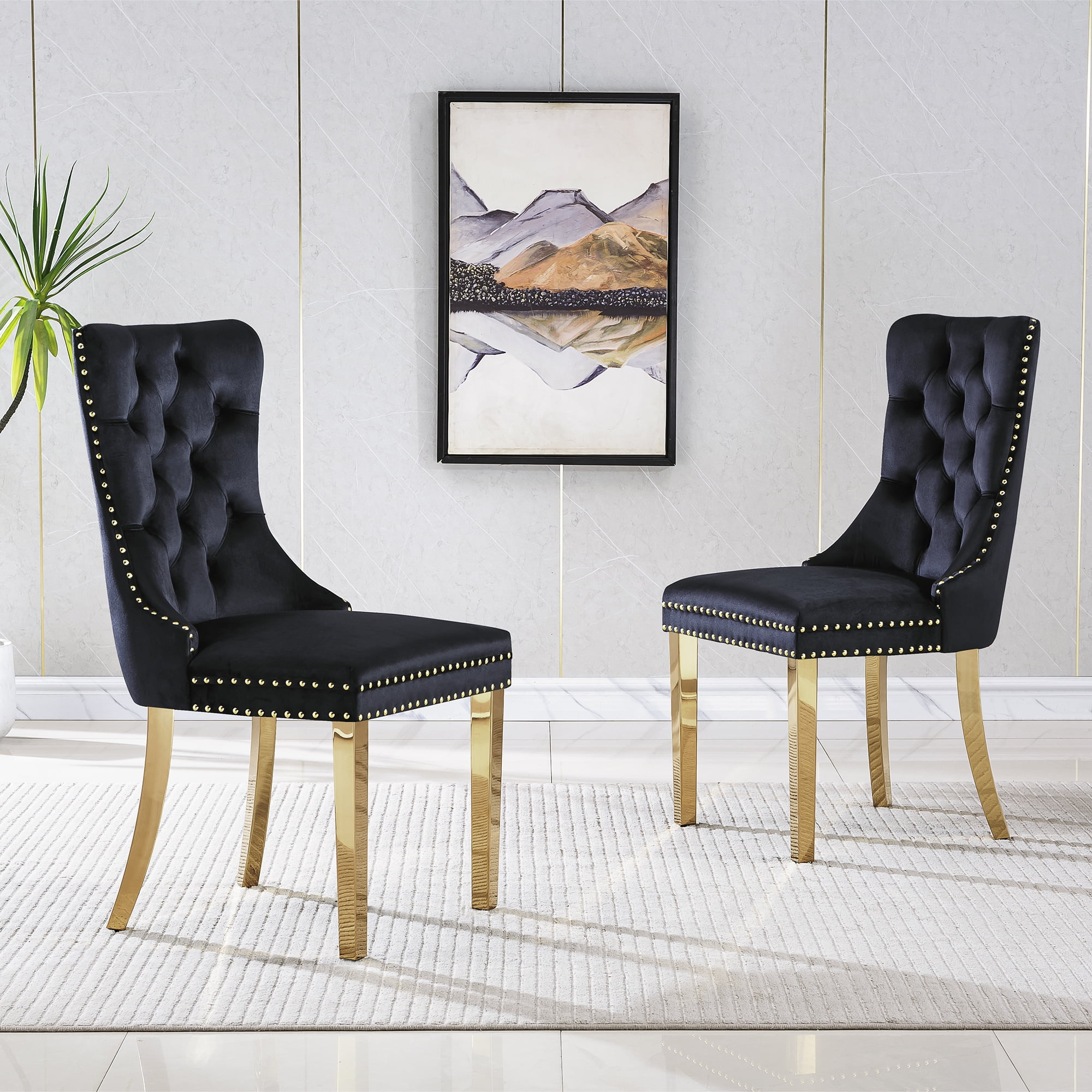 Dtwnek Set of 2 Elegant Velvet Dining Chair with Gold Metal Legs ...
