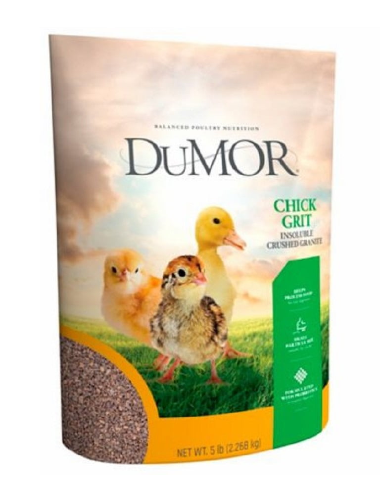 DuMOR 1000238 Chicken Flock Feed, Poultry Supplies, 5 Pounds Crushed ...