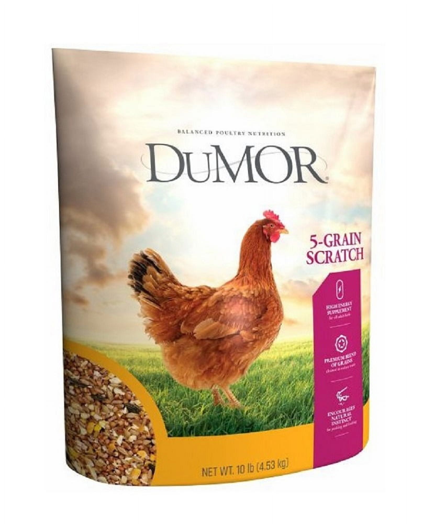 DuMOR 1030010 Livestock Supplies 5-Grains Scratch Poultry Feed in 10 ...