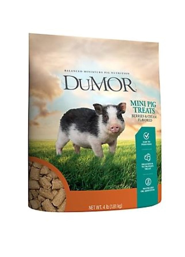 DuMOR 1030532 Livestock Products 4 lb. Mini-Pig Berries & Cream ...