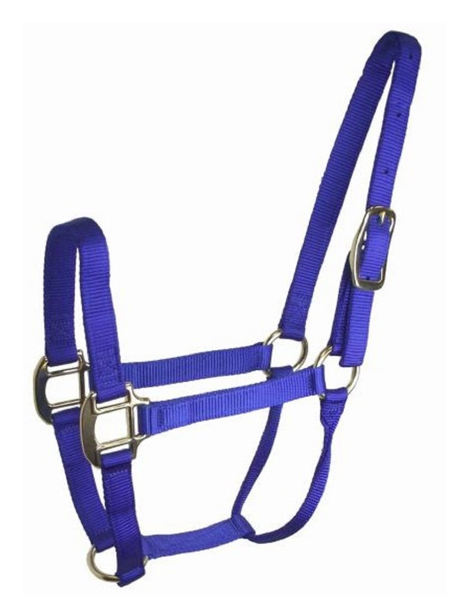 DuMOR 1052653 Royal Blue Color 200-300 lb. Horse Size Classic Colt ...