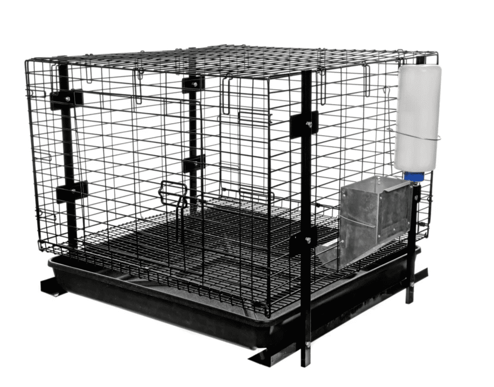 DuMOR Heavy-Duty Rabbit Cage Starter Kit, 24 in. x 24 in. - Walmart.com