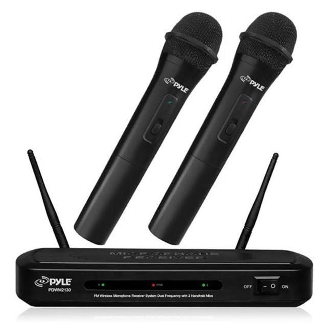 Dual Frequency FM Wireless Microphone Receiver System with 2-Handheld ...