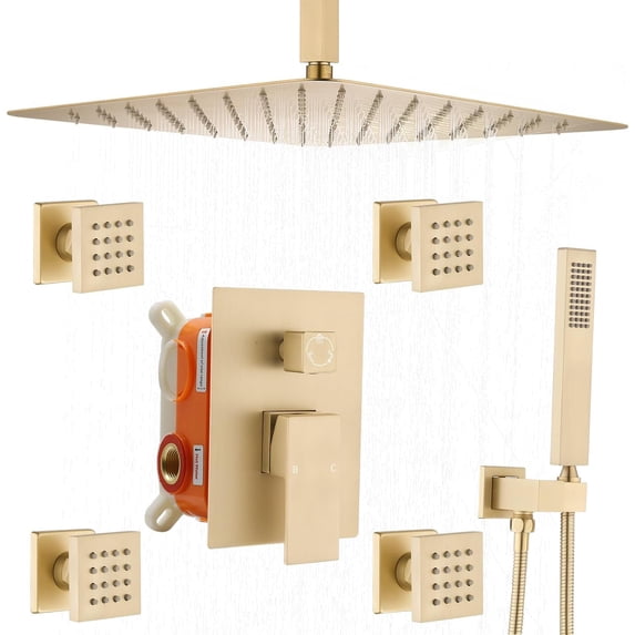 Dual Head Shower System with Body Jets (Eco-Performance) Inch Ceiling ...