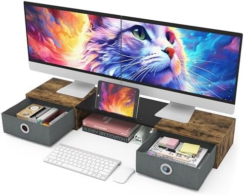 Dual Monitor Stand Riser with Two Drawers, Extra Large Storage for 2 ...