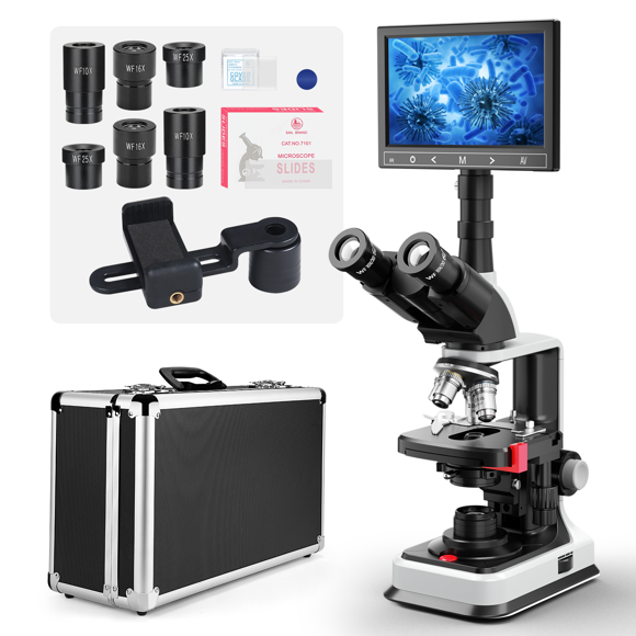 Stage Clips Microscope