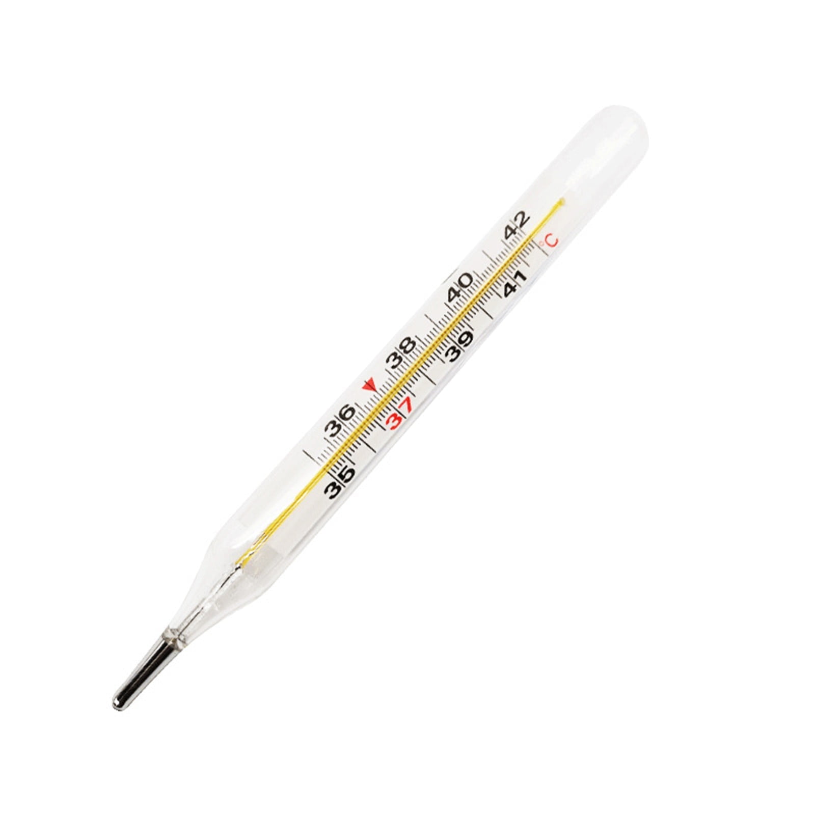 Dual Scale Glass Thermometer - Mercury-Free Traditional Design for Home ...